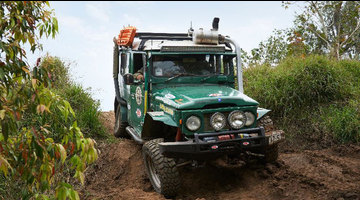 Roothy | Penrite Oil